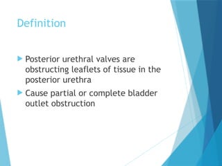 Posterior_Urethral_Valves_Detailed .pptx
