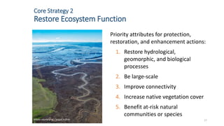 New efforts in planning for large scale ecosystem restoration in the ...