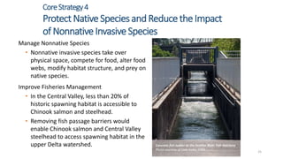 New efforts in planning for large scale ecosystem restoration in the ...