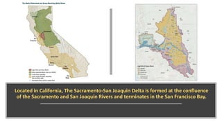 New efforts in planning for large scale ecosystem restoration in the ...