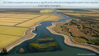 New efforts in planning for large scale ecosystem restoration in the ...