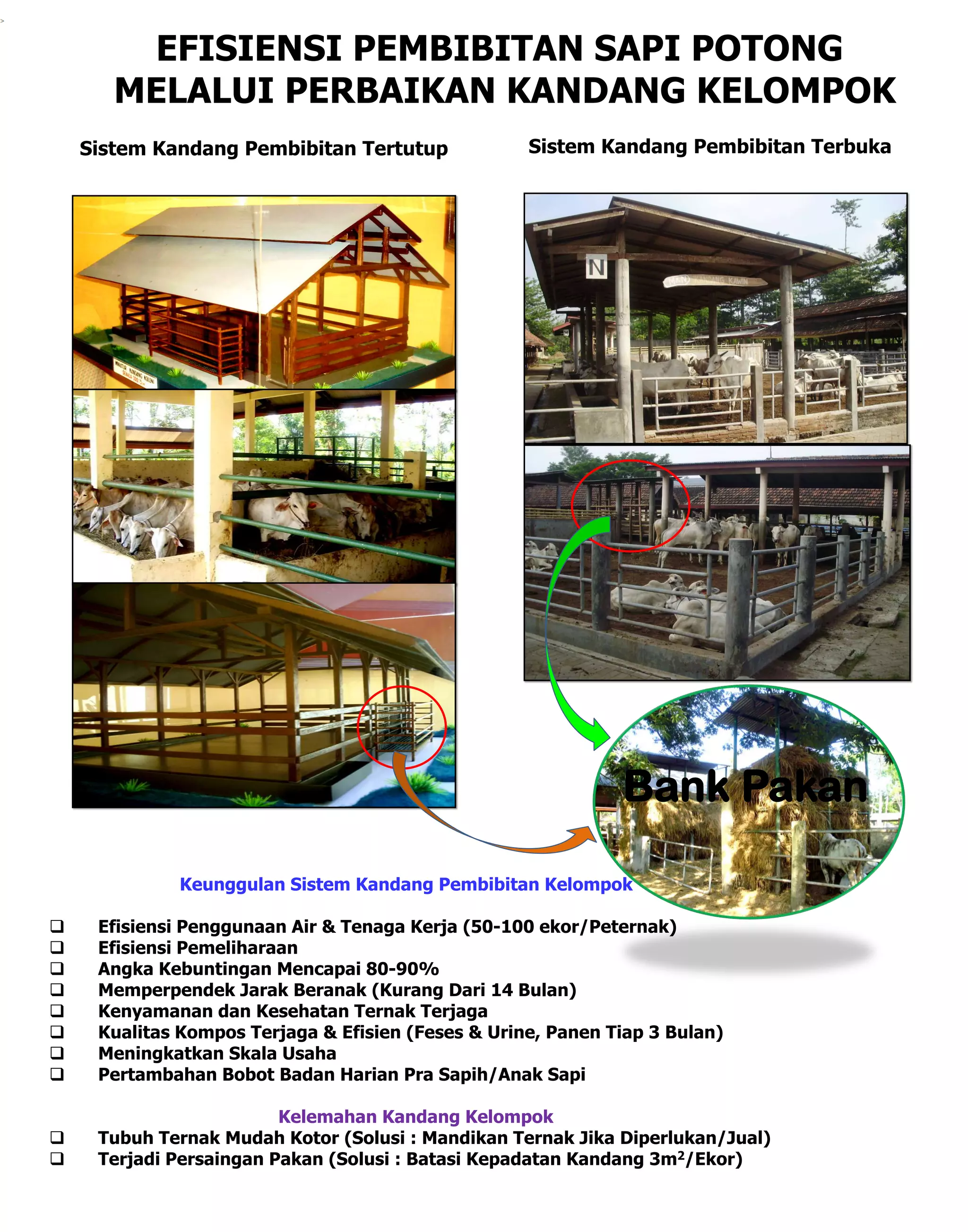 Poster Kandang Kelompok Pembibitan Sapi | PDF