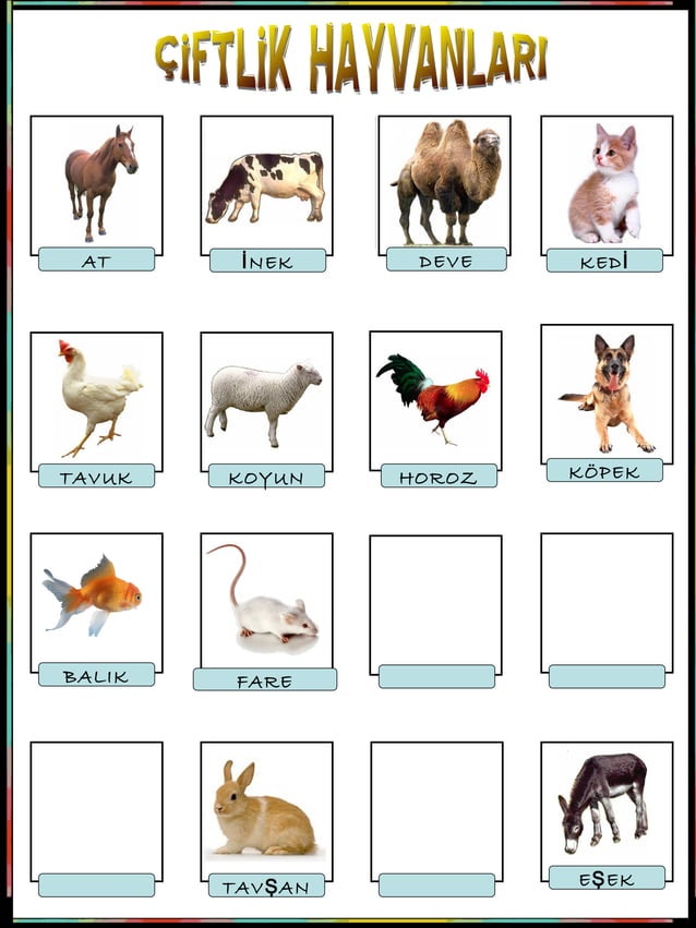 Posterler Posterler | PDF