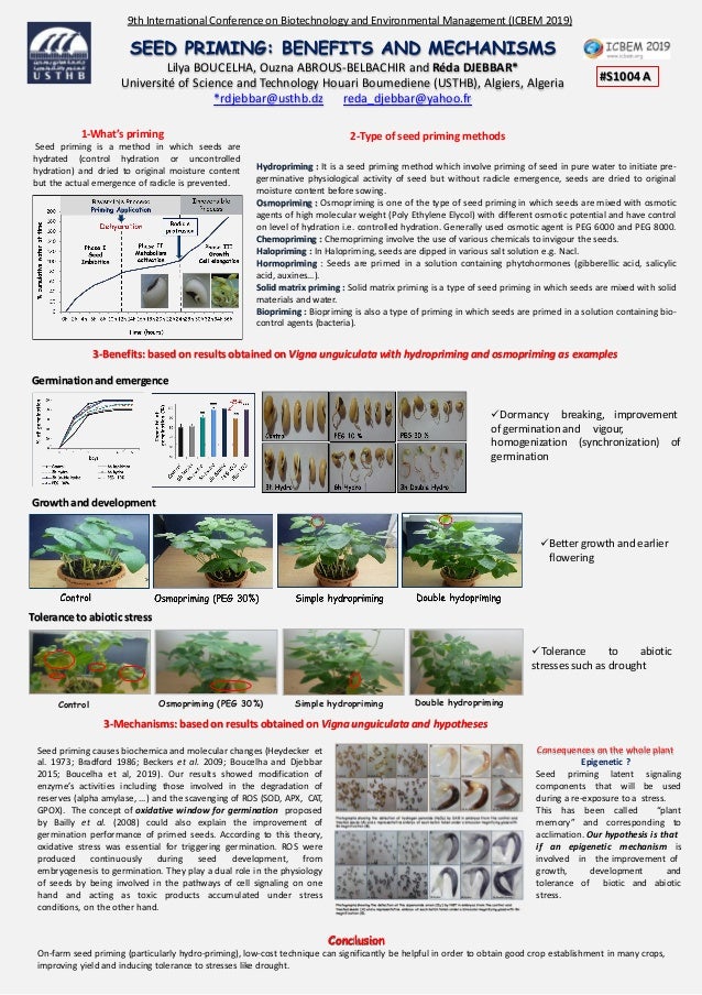 SEED PRIMING: BENEFITS AND MECHANISMS | PDF | Agriculture | Industries