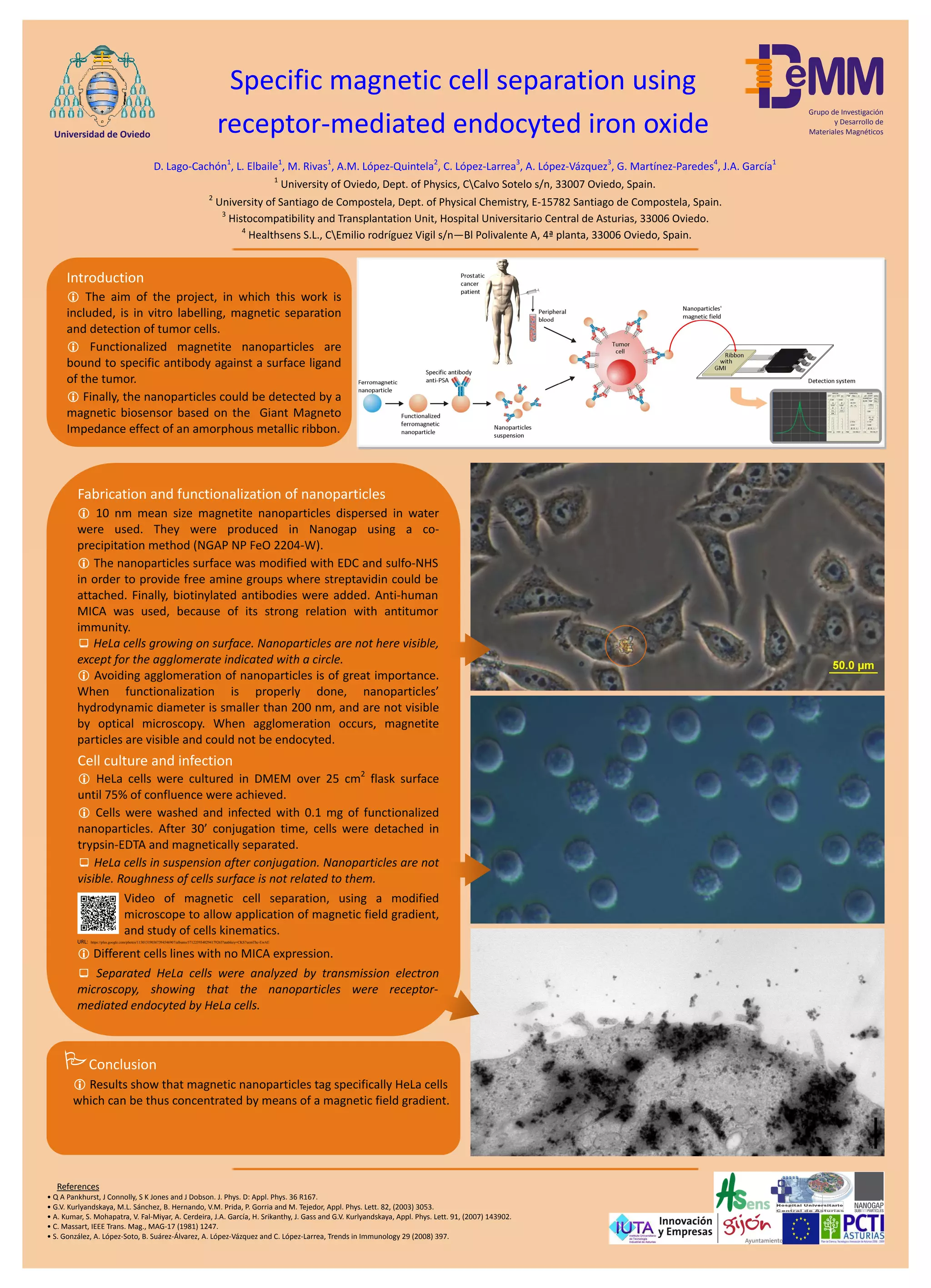 Poster nano spain2012 | PDF | Biological Sciences | Science