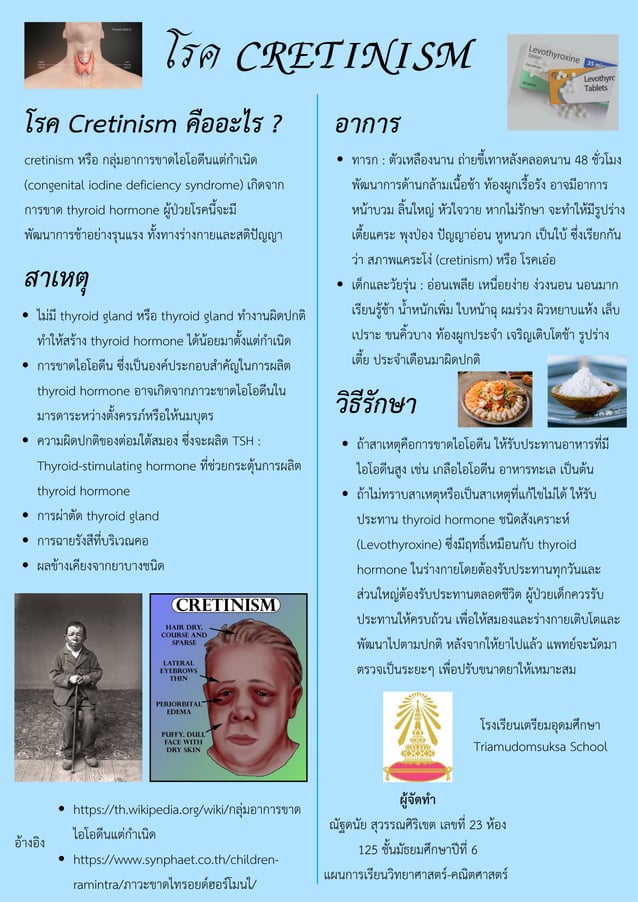 poster_natdanai_125_No23 | PDF