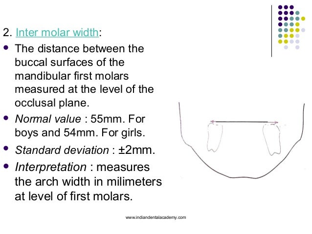 What’s your intermolar width? – Main Forum – Correction Methods – Whole ...