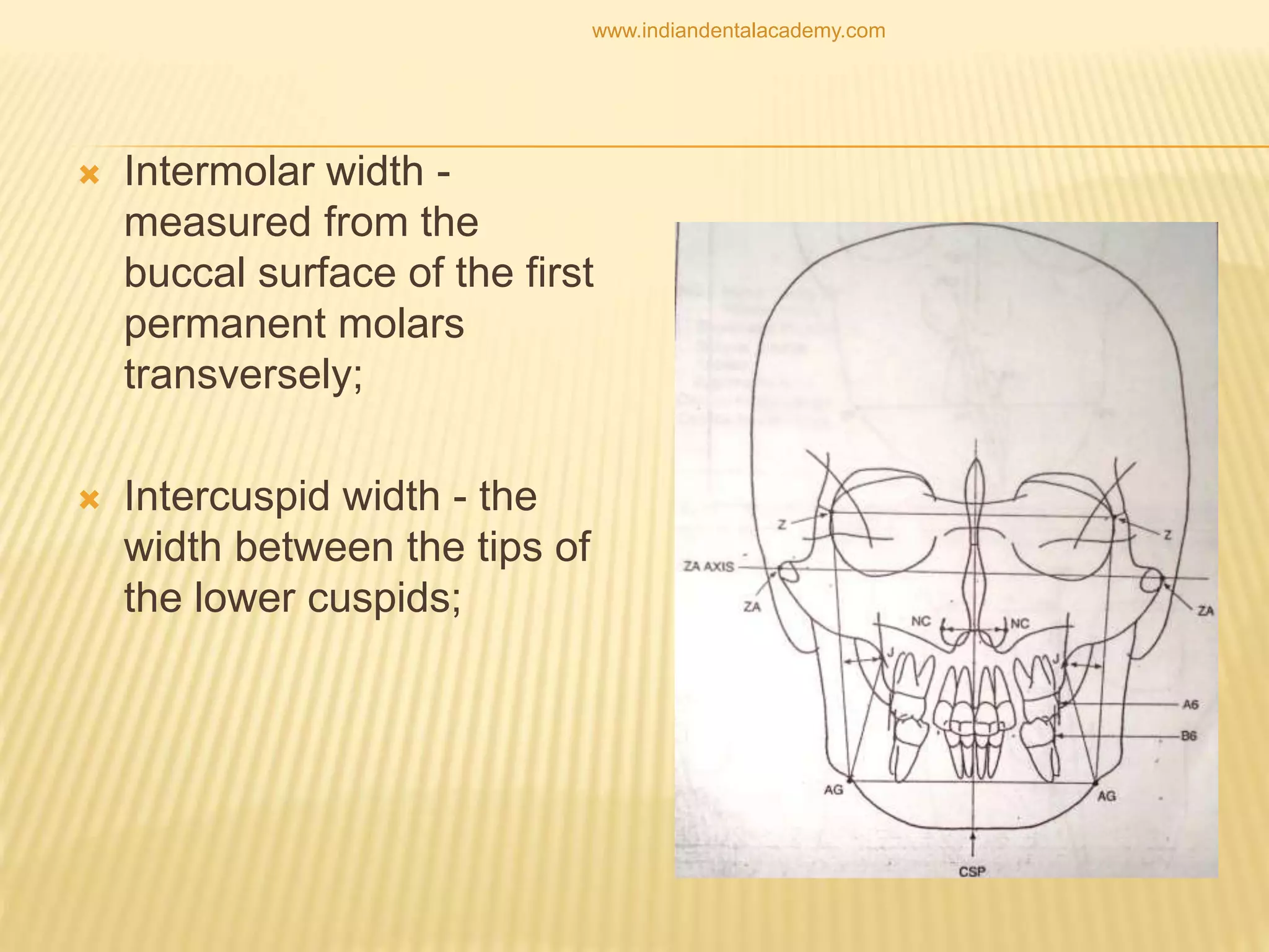 Postero anterior cephalometric / endodontic courses | PPTX