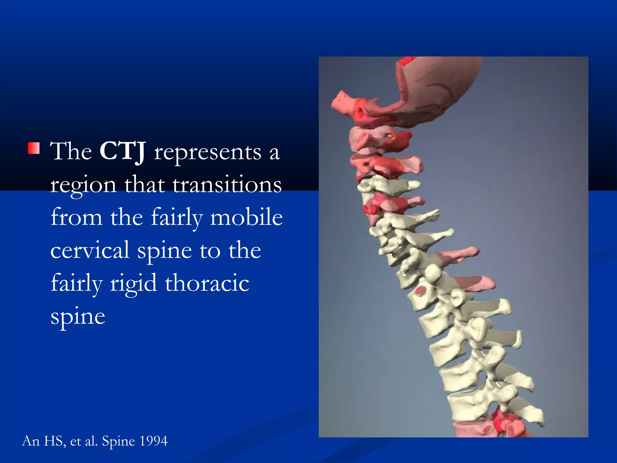 The midline and lateral parascapular extrapleural exposures | PPT