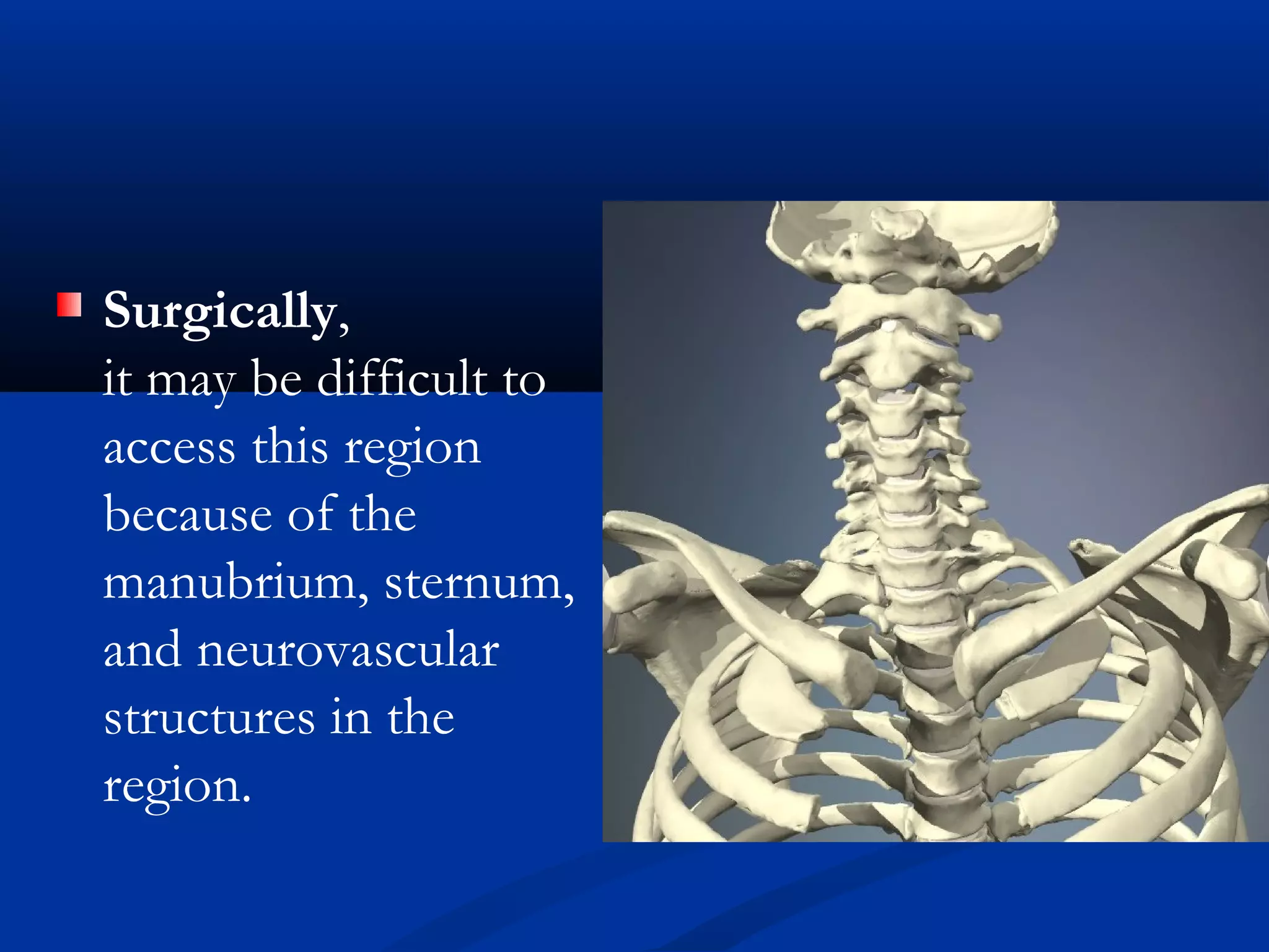 The midline and lateral parascapular extrapleural exposures | PPT