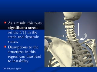 The midline and lateral parascapular extrapleural exposures | PPT