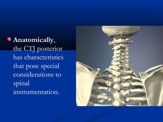 The midline and lateral parascapular extrapleural exposures | PPT