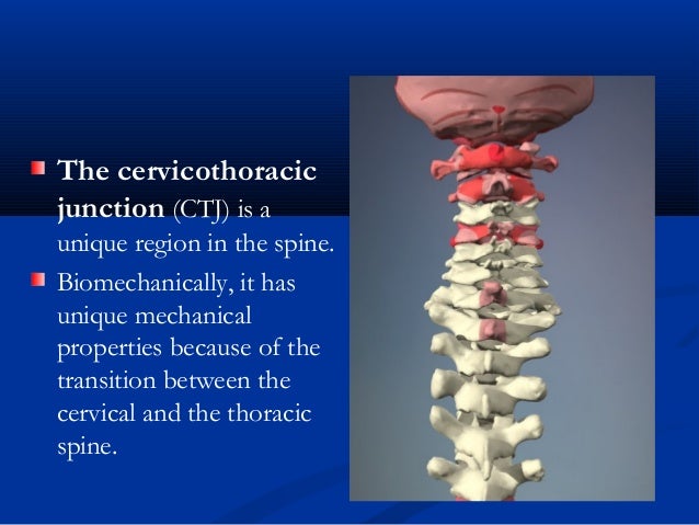 The midline and lateral parascapular extrapleural exposures