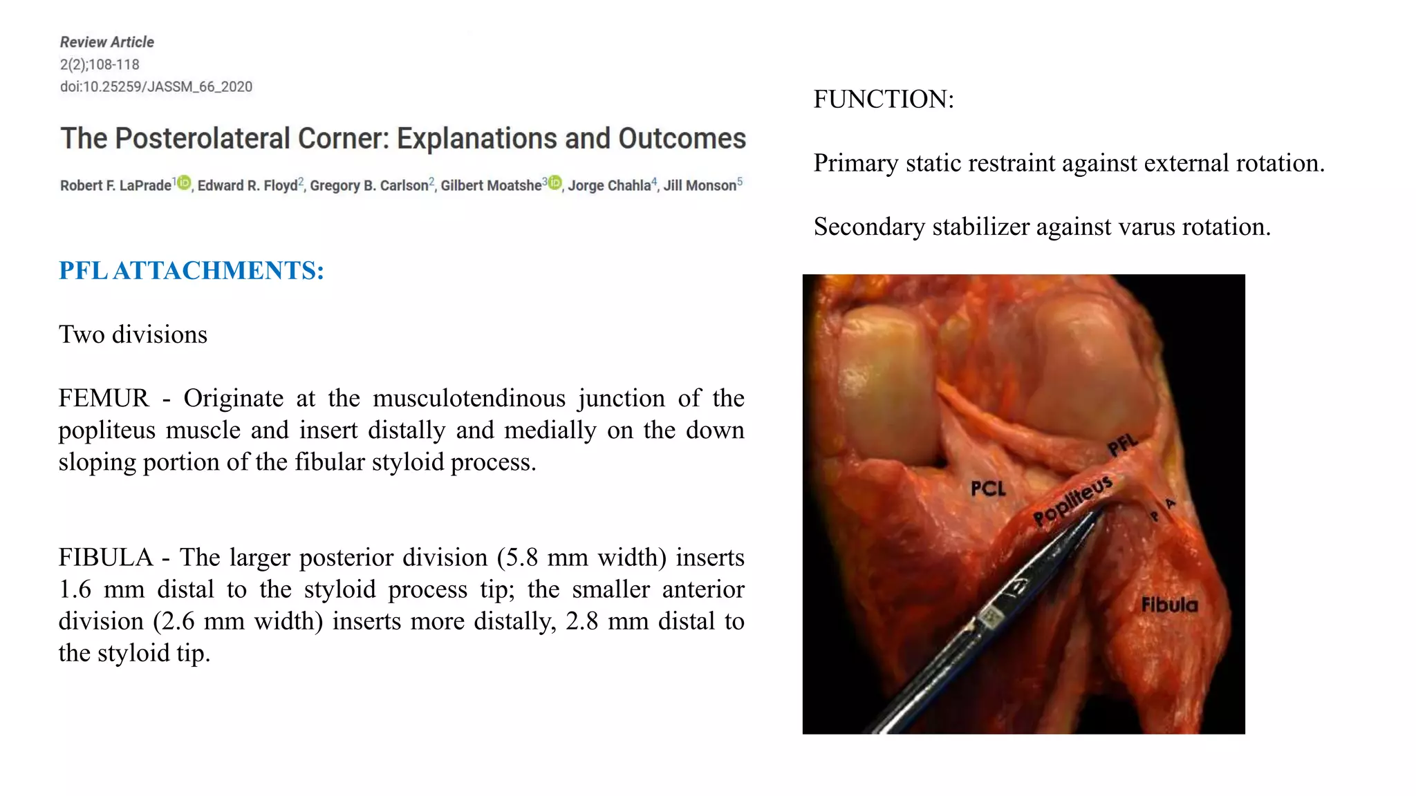 Posterolateral corner knee injuries | PPTX