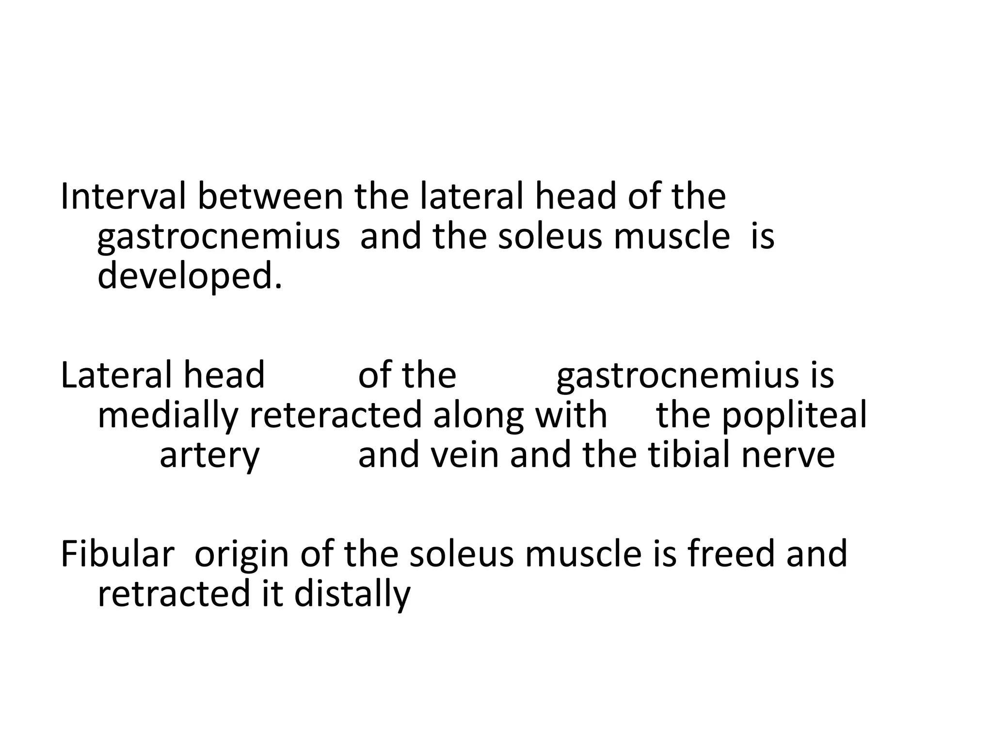 Posteromedial and posterolateral approach to knee | PPTX