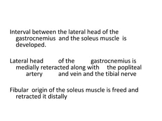 Posteromedial and posterolateral approach to knee | PPTX