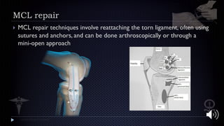 Posteromedial Corner (PMC) and Medial Collateral ligamnet (MCL ...