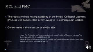 Posteromedial Corner (PMC) and Medial Collateral ligamnet (MCL ...
