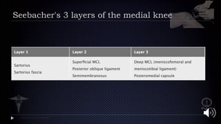 Posteromedial Corner (PMC) and Medial Collateral ligamnet (MCL ...