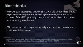 Posteromedial Corner (PMC) and Medial Collateral ligamnet (MCL ...