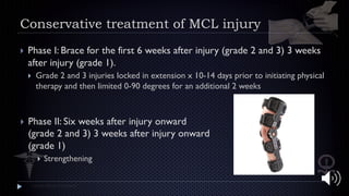 Posteromedial Corner (PMC) and Medial Collateral ligamnet (MCL ...