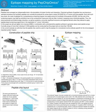 Peptide Chip for Antibody Epitope Mapping | PPT