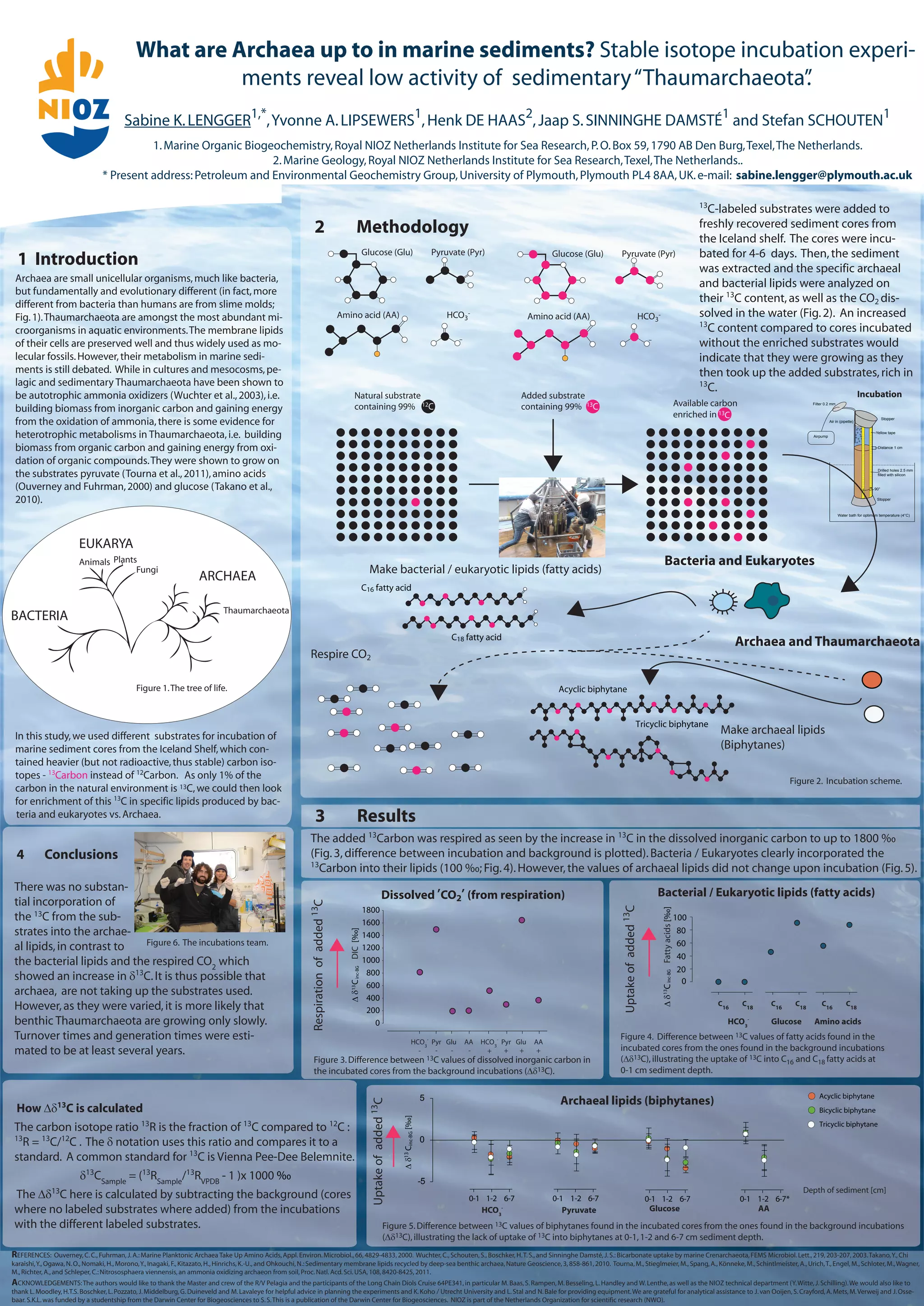 What are Archaea up to in marine sediments? | PDF