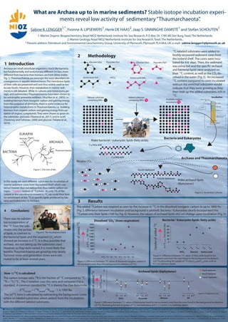 What are Archaea up to in marine sediments? | PDF