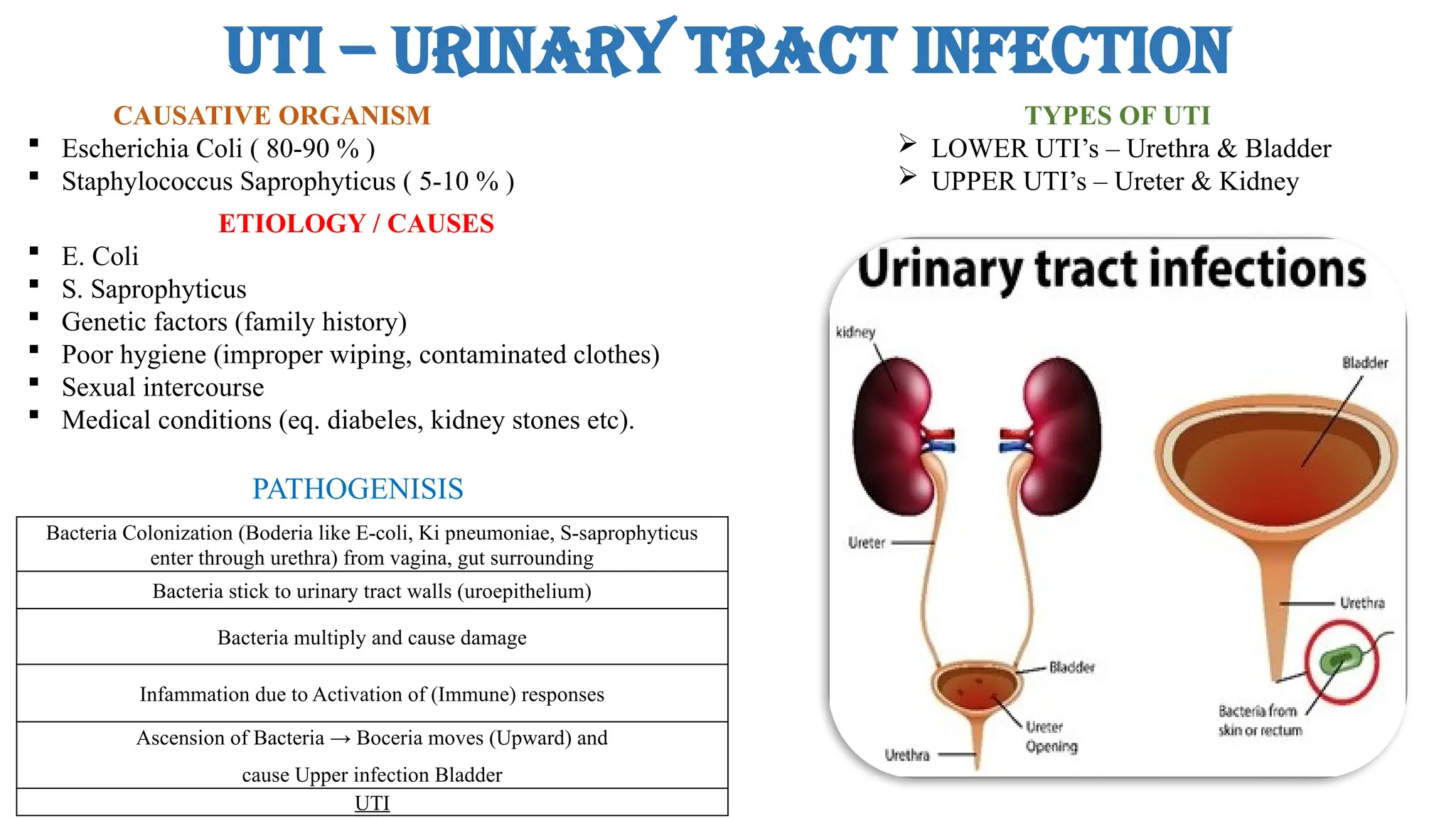 poster presentation.pptx urinary tract infections | PPTX