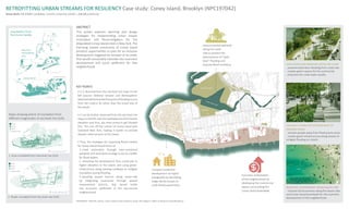 Retrofitting urban streams for resiliency, National Planning Conference ...