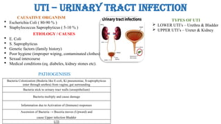 poster presentation [Autosaved].pptx UTI disease | PPTX