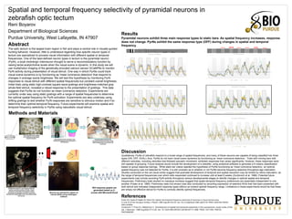 EstuardoLaboratory2022 | PPT