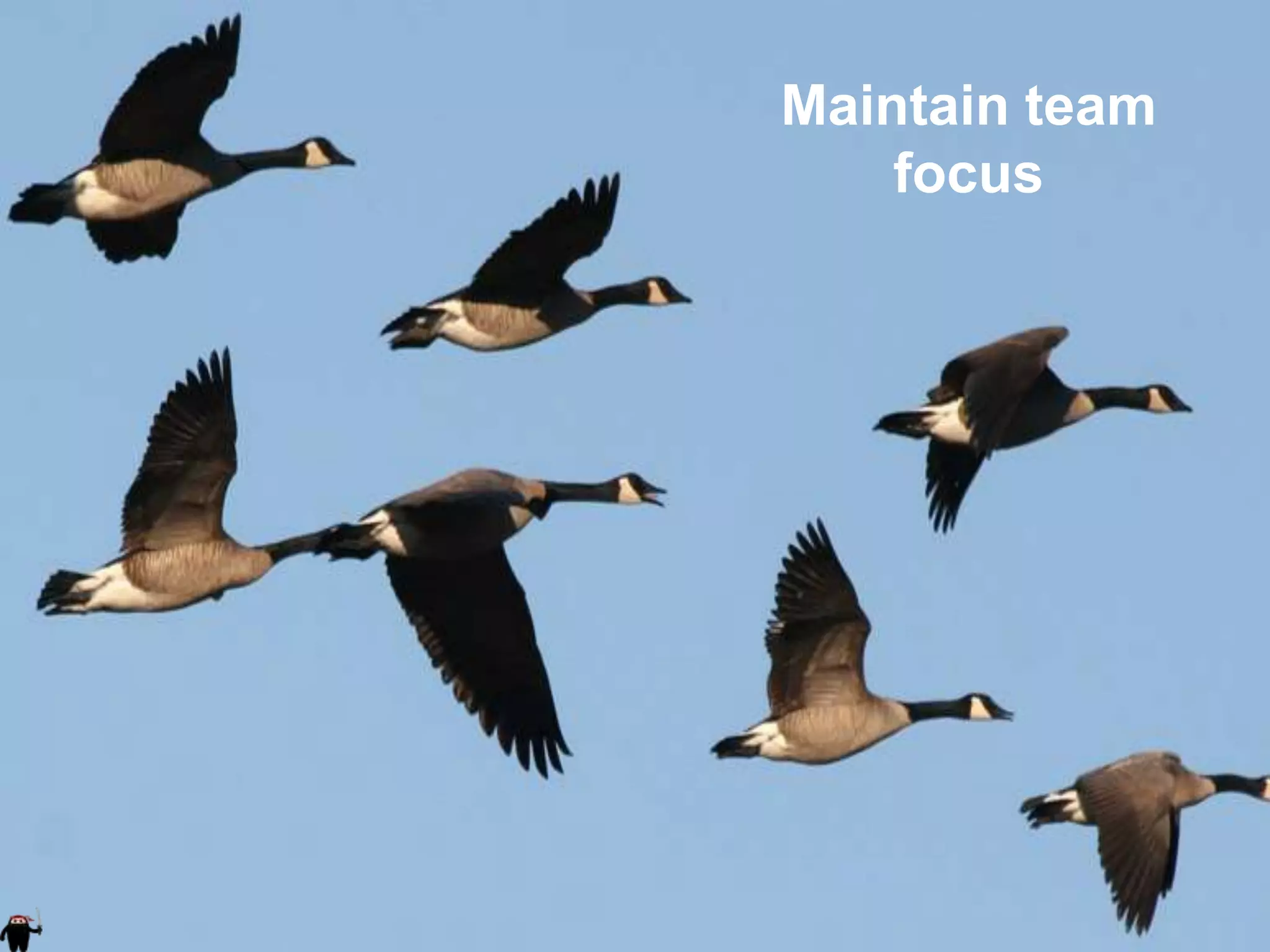 Agile Posters | PPTX