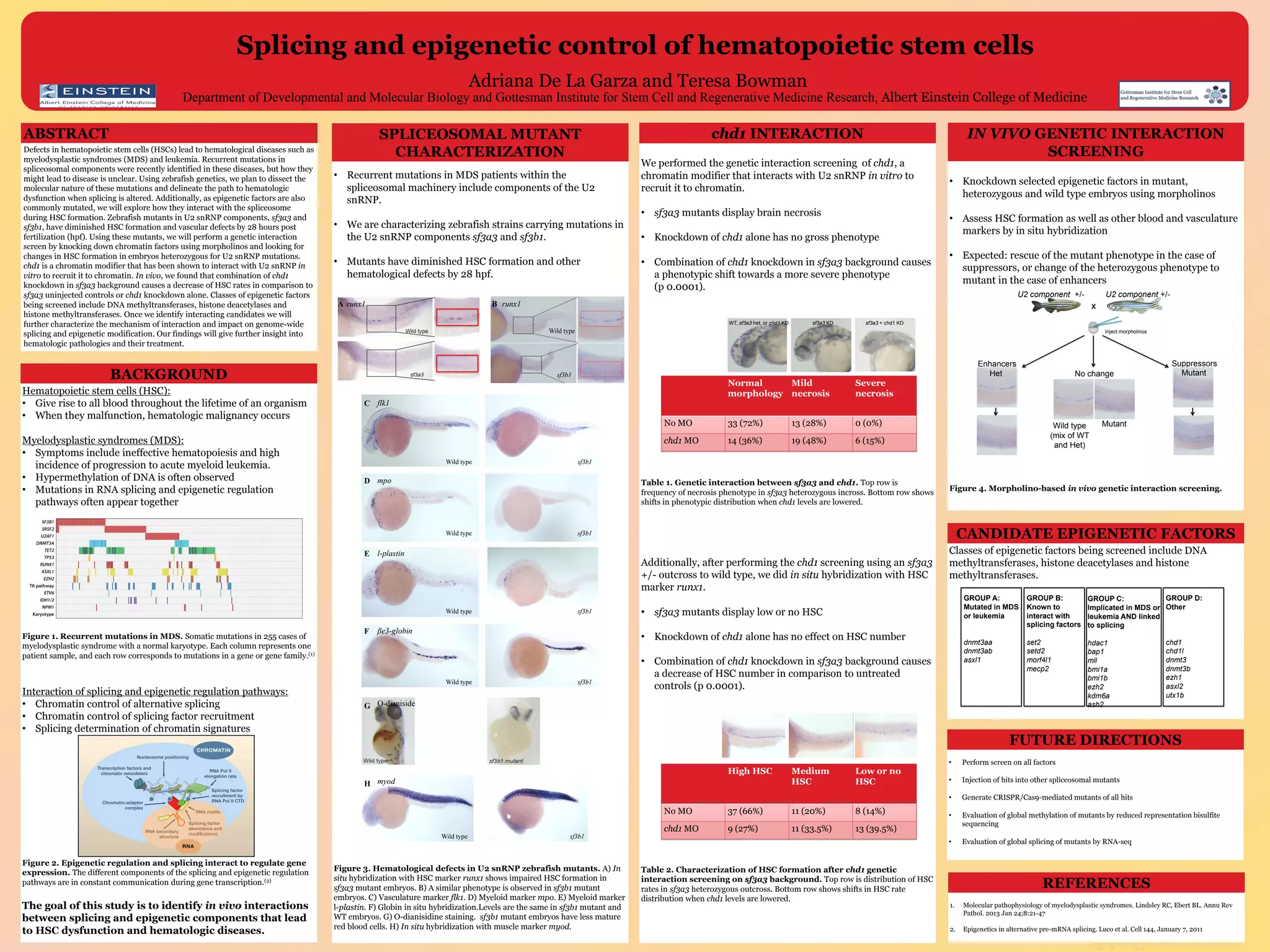 Scientific posters | PPTX