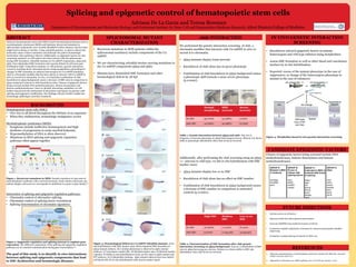 Scientific posters | PPTX