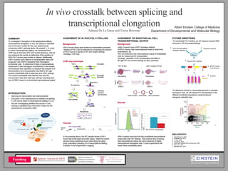 Scientific posters | PPTX