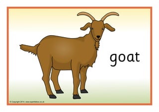 Handa's Surprise vocabulary poster | PDF