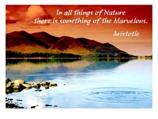 Posters For Dhamma Reflection | PPT