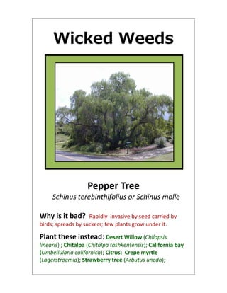 'Wicked Weeds' Posters 2014 | PDF