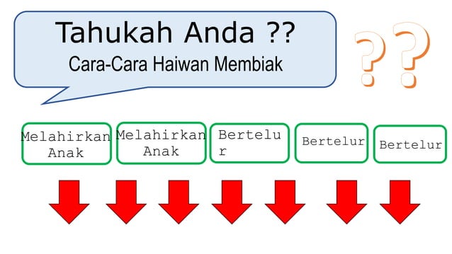 POSTER SAINS ARA.pptx