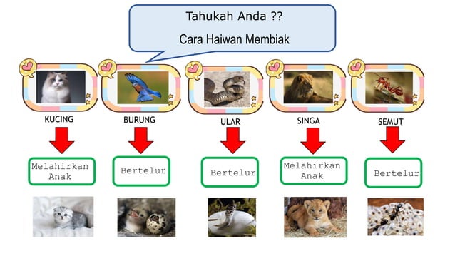 POSTER SAINS ARA.pptx