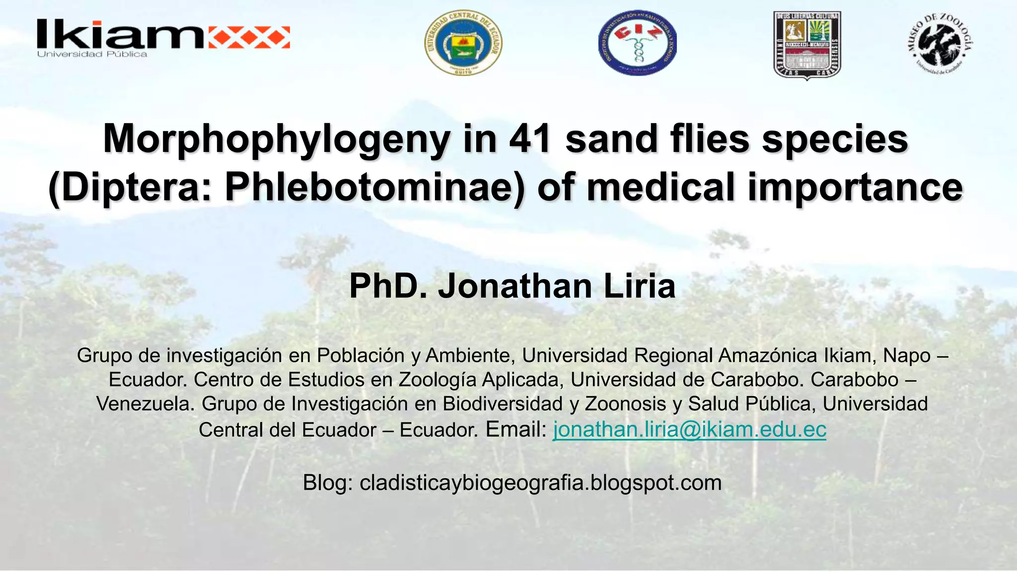 Morphophylogeny in 41 sand flies species (Diptera: Phlebotominae) of ...