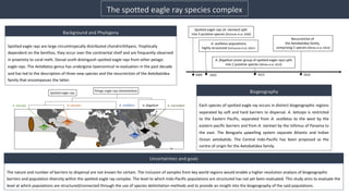 Delineation and biogeography of semipelagic spotted eagle rays | PDF