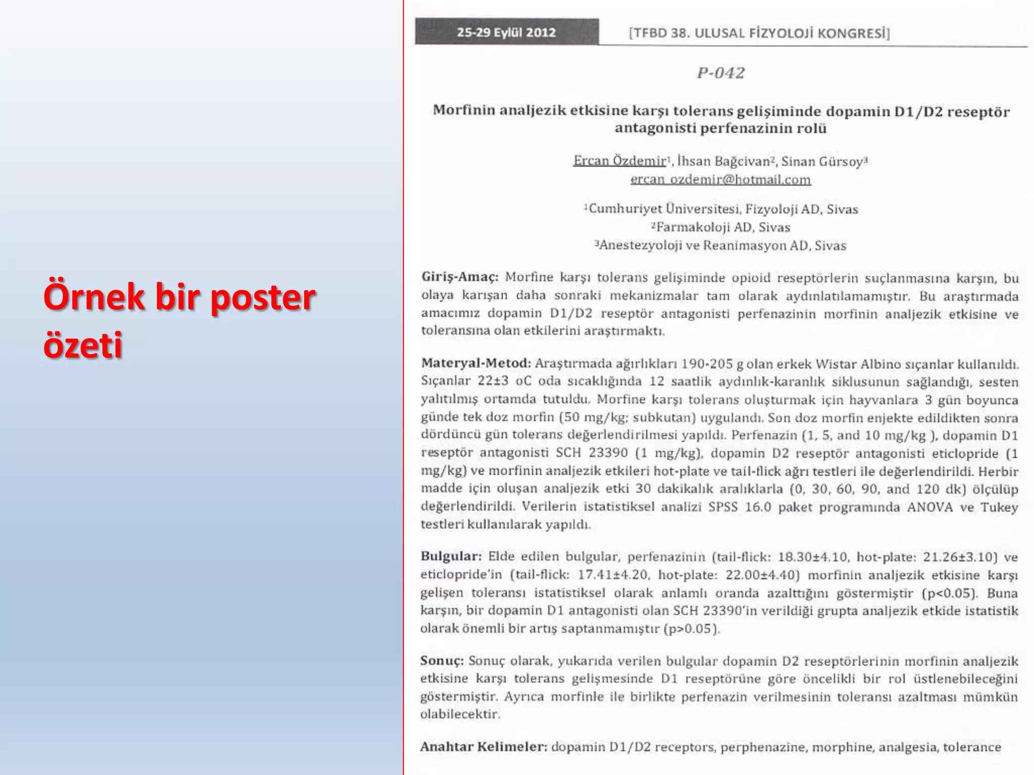 Poster sunumu | PPTX