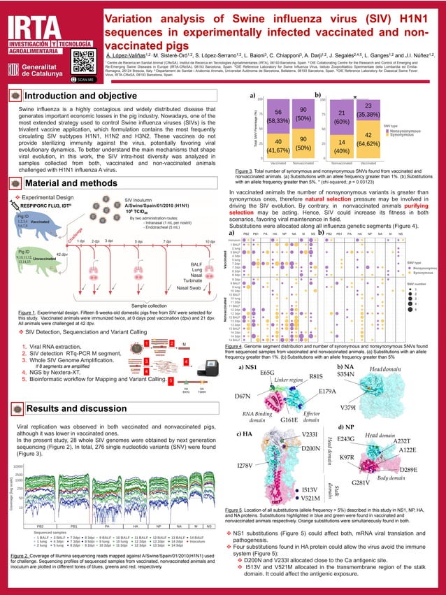 Variation analysis of Swine influenza virus (SIV) H1N1 sequences in ...