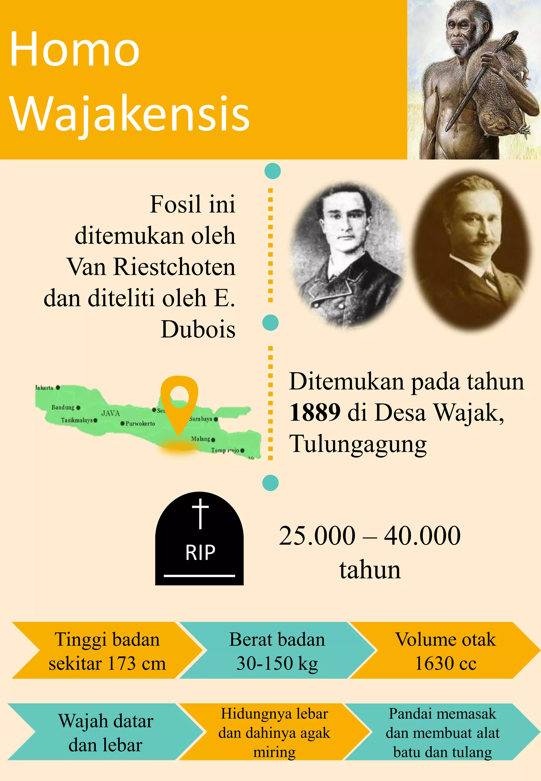 Poster Manusia Purba | PPTX