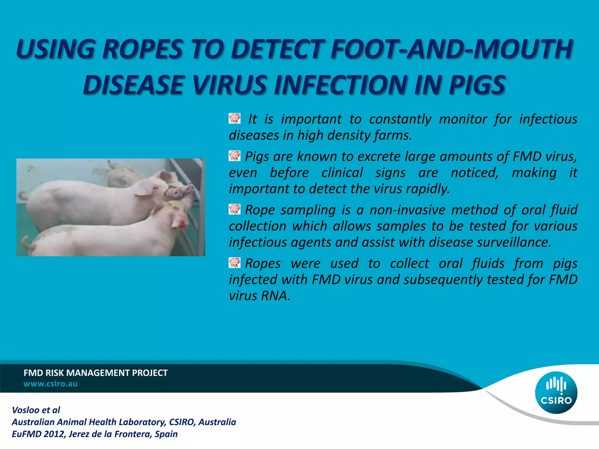 Poster: Using ropes to detect Foot-and-Mouth Disease virus infection in ...