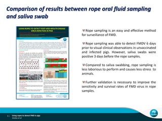 Poster: Using ropes to detect Foot-and-Mouth Disease virus infection in ...