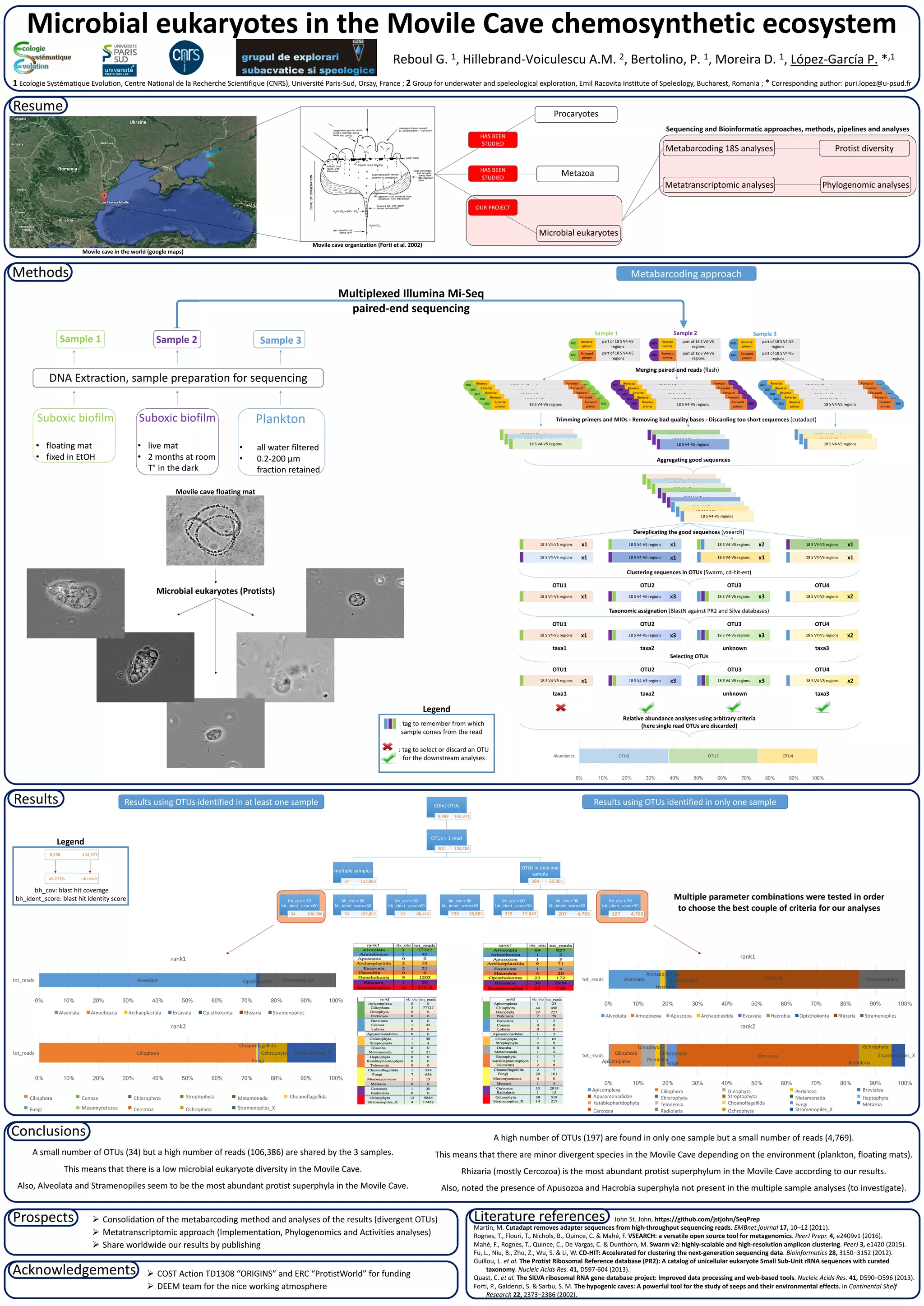 Microbial eukaryotes in the Movile Cave chemosynthetic ecosystem | PDF