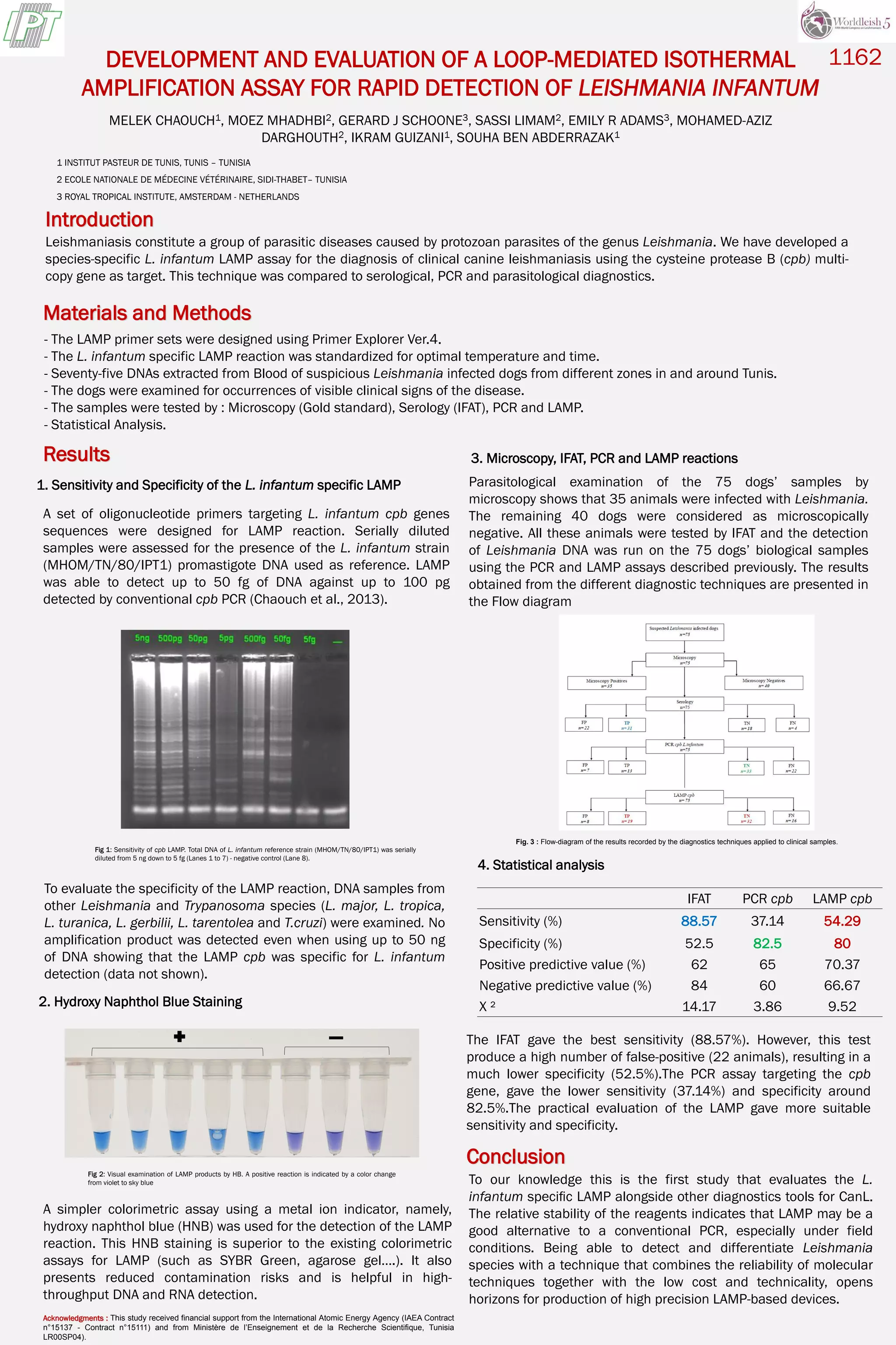 DEVELOPMENT AND EVALUATION OF A LOOP-MEDIATED ISOTHERMAL AMPLIFICATION ASSAY FOR RAPID DETECTION ...